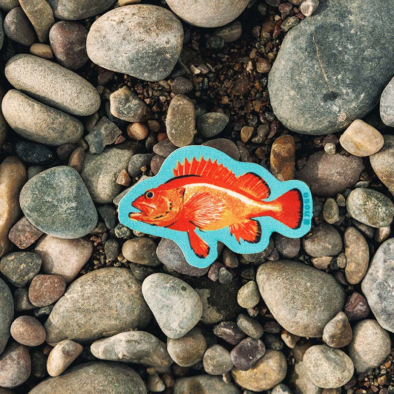 NoSo x Salmon Sisters - Rockfish Repair Patch