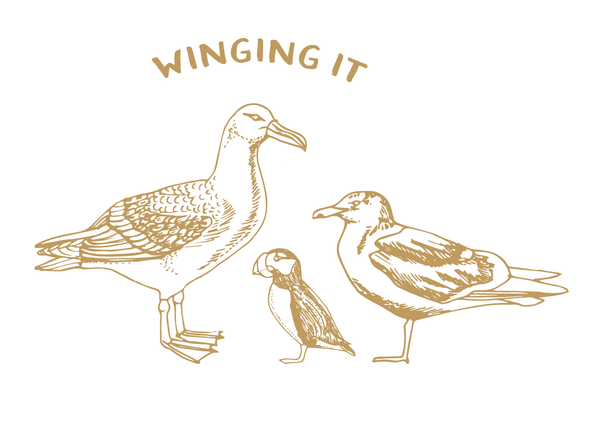 Winging It Greeting Card – Salmon Sisters